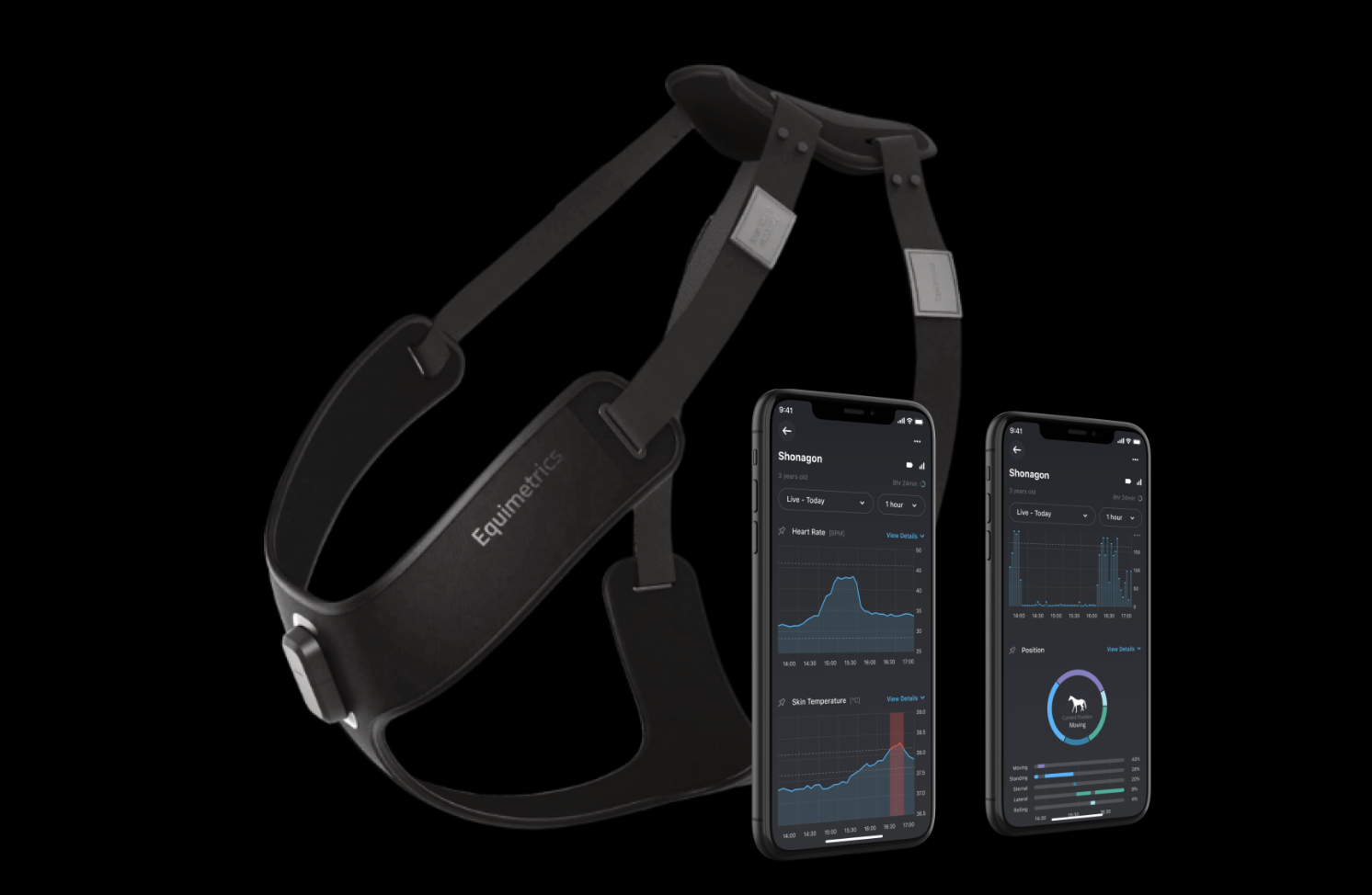 Stable State Consulting - Technical Strategy & Digital Transformation